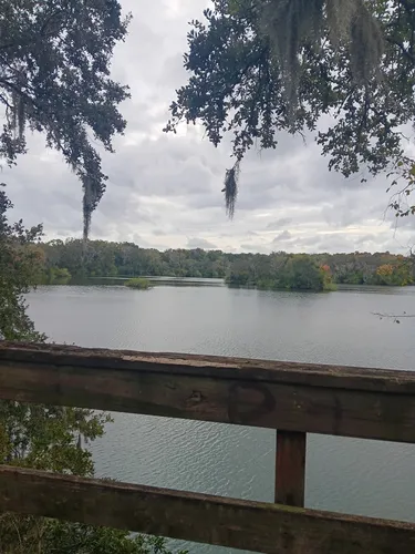 Best Hikes and Trails in Tenoroc Public Use Area | AllTrails