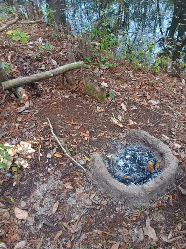 Best Hikes and Trails in Tenoroc Public Use Area | AllTrails