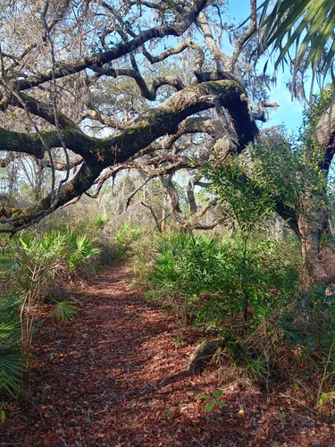 Best Hikes and Trails in Tenoroc Public Use Area | AllTrails