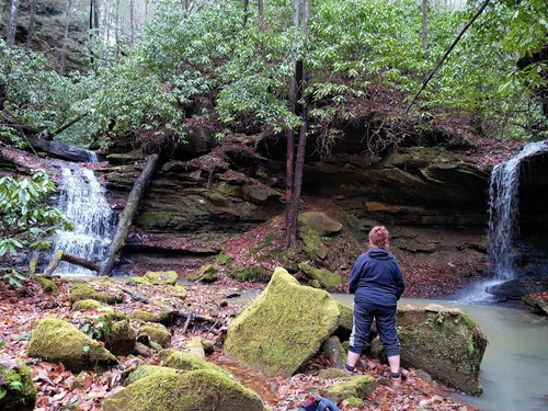 Best Hikes and Trails in Muir Valley Nature Preserve | AllTrails