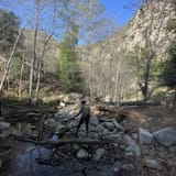 Millard Canyon Falls Trail, California - 4,289 Reviews, Map | AllTrails