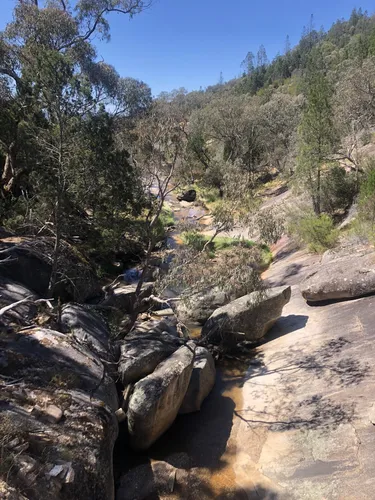 Best 10 Hiking Trails in Beechworth Historic Park | AllTrails