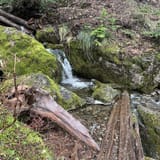 Mount Rose Trail, Washington - 1,384 Reviews, Map | AllTrails