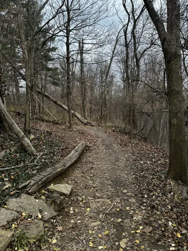 Best Hikes and Trails in Cherokee Park | AllTrails