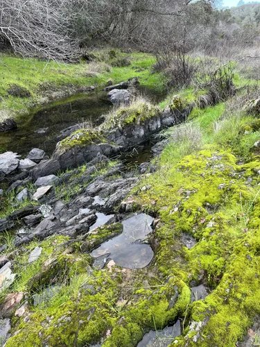 Best Hikes and Trails in Hidden Falls Regional Park | AllTrails