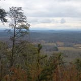 Buzzard's Roost Loop, Georgia - 384 Reviews, Map | AllTrails