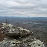 Buzzard's Roost Loop, Georgia - 384 Reviews, Map | AllTrails