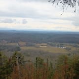 Buzzard's Roost Loop, Georgia - 384 Reviews, Map | AllTrails