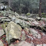 Slide Mountain Trail, New York - 1,537 Reviews, Map | AllTrails