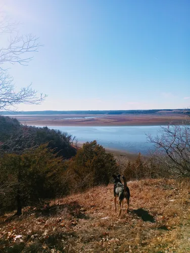 Best Hikes and Trails in Randolph State Park | AllTrails