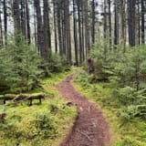 Red Spruce Knob, West Virginia - 234 Reviews, Map | AllTrails