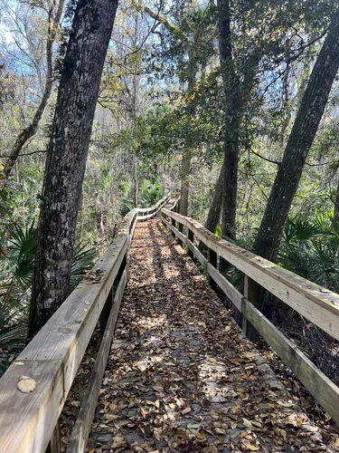 Best Hikes and Trails in Princess Place Preserve | AllTrails