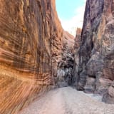 Wire Pass Trail, Utah - 2,685 Reviews, Map | AllTrails
