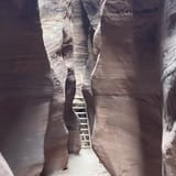 Wire Pass Trail, Utah - 2,685 Reviews, Map | AllTrails