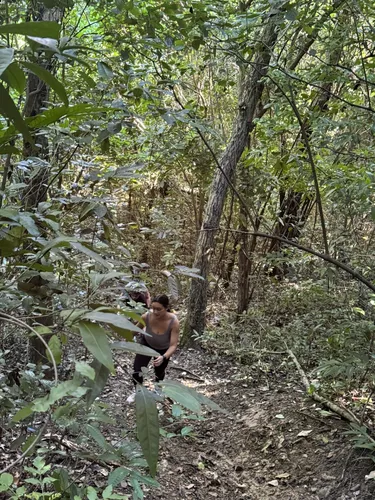 Best Hikes and Trails in Parque Julio E. Monagas | AllTrails