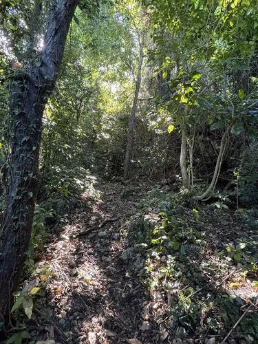 Best Hikes and Trails in Parque Julio E. Monagas | AllTrails