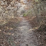 Cedar Ridge Outer Loop, Texas - 1,887 Reviews, Map | AllTrails
