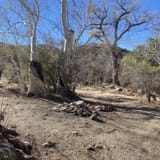 Chiva Falls Trail, Arizona - 356 Reviews, Map | AllTrails