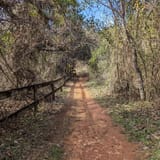 Canyon Loop Trail, Georgia - 2,084 Reviews, Map | AllTrails