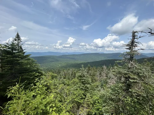 10 Best Trails and Hikes in Pittsburg | AllTrails