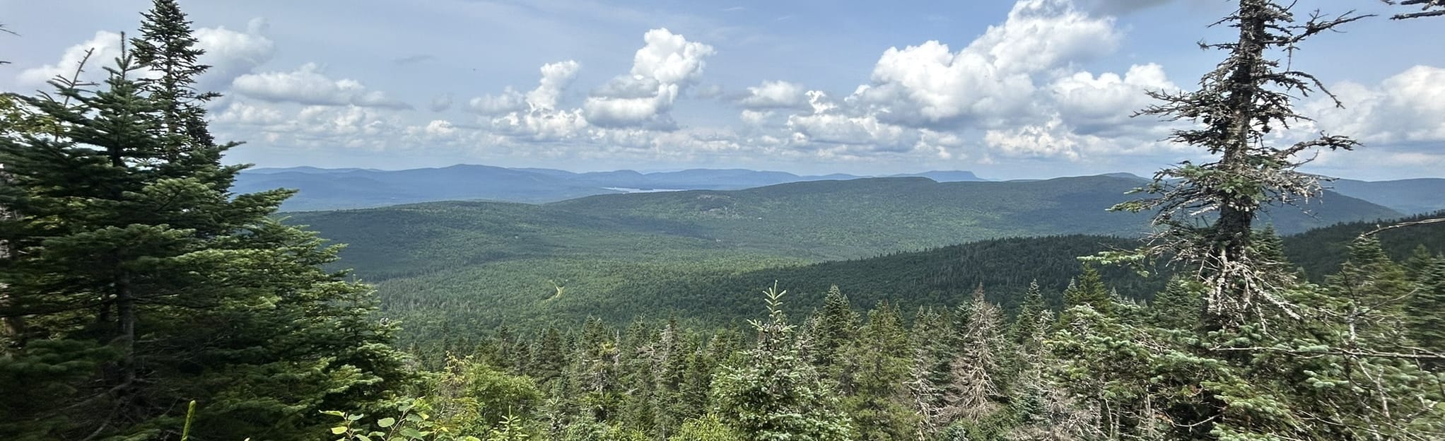 Magalloway Mountain trail, New Hampshire - 26 Reviews, Map | AllTrails