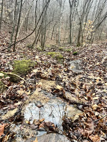 Best Hikes and Trails in Knight Brown Nature Preserve | AllTrails