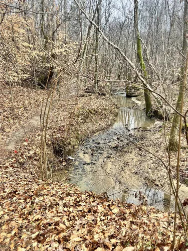 Best Hikes and Trails in Knight Brown Nature Preserve | AllTrails