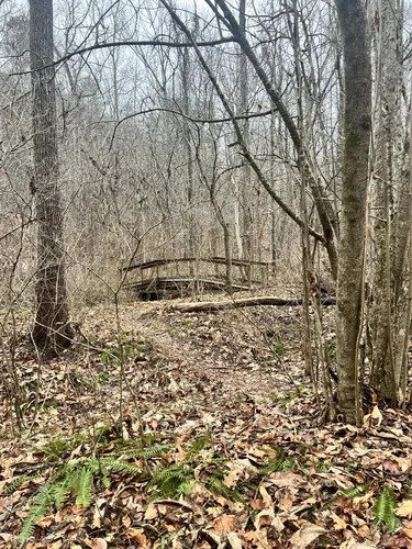 Best Hikes and Trails in Knight Brown Nature Preserve | AllTrails