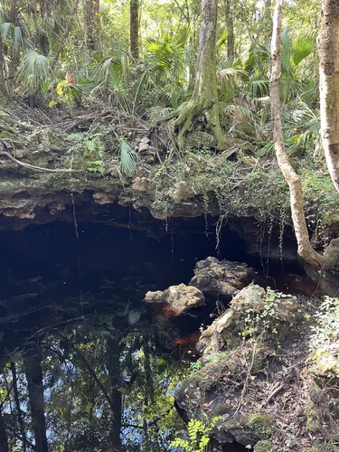 Best Hikes and Trails in Aucilla Wildlife Management Area | AllTrails