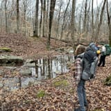 Two Lakes Loop Trail, Indiana - 554 Reviews, Map | AllTrails
