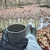 Two Lakes Loop Trail, Indiana - 499 Reviews, Map | AllTrails
