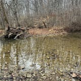 Two Lakes Loop Trail, Indiana - 554 Reviews, Map | AllTrails