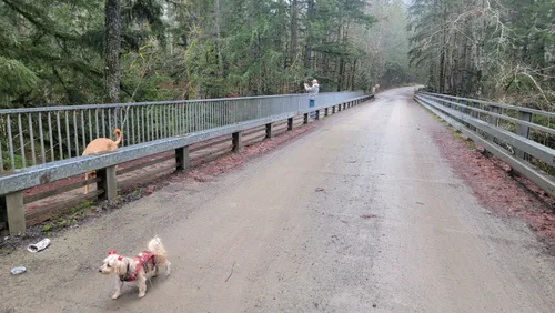 Best 10 Hiking Trails in Cowichan River Provincial Park | AllTrails