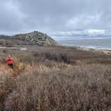 Halibut Point Trail, Massachusetts - 1,181 Reviews, Map | AllTrails