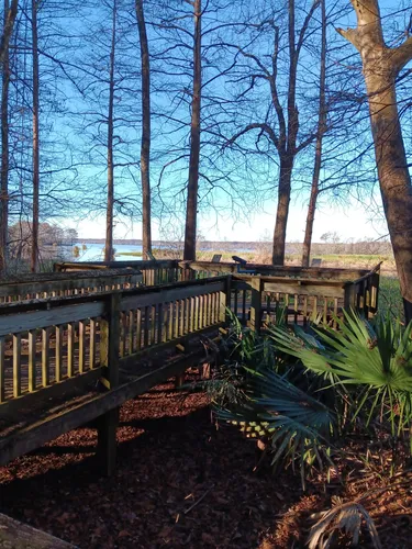 Lake Fausse Pointe State Park: de beste routes om te wandelen | AllTrails