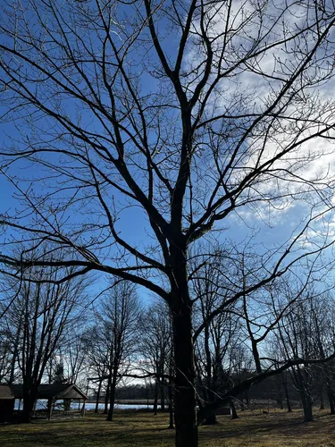 Best Hikes and Trails in Muskegon State Park | AllTrails