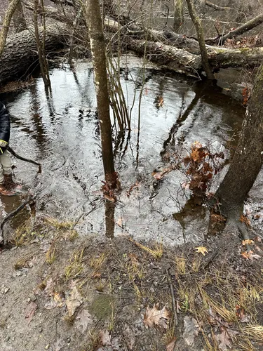 Best Hikes and Trails in Elm Bank Reservation | AllTrails