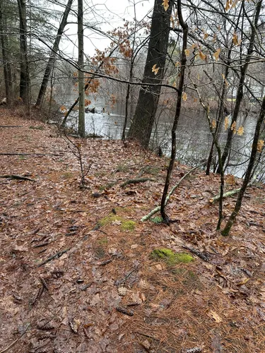 Best Hikes and Trails in Elm Bank Reservation | AllTrails