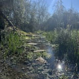 Good Water Trail from Cedar Breaks, Texas - 704 Reviews, Map | AllTrails