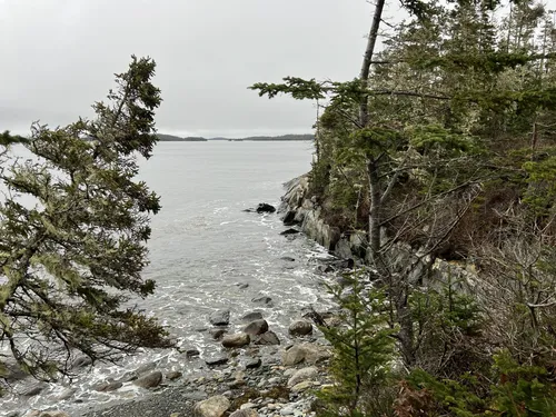 Best Hikes and Trails in Taylor Head Provincial Park | AllTrails