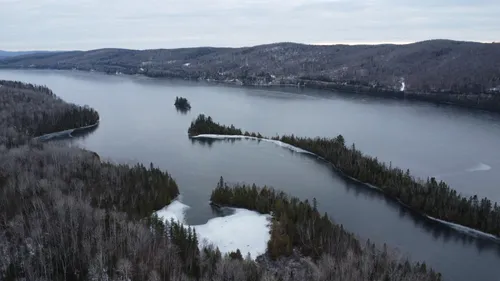 Best Forest Trails in Riviere-Bleue | AllTrails