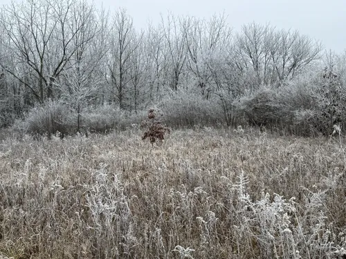 Best Hikes and Trails in Blackwell Forest Preserve | AllTrails