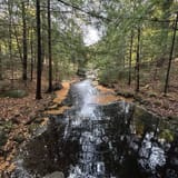 Solitaire Lake Loop, Ontario, Canada - 816 Reviews, Map | AllTrails