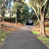 Davis-Covell Greenbelt Trail, California - 283 Reviews, Map | AllTrails