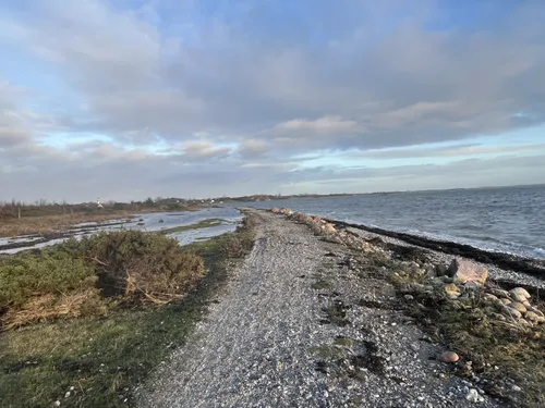 Bedste strandruter i Odense | AllTrails