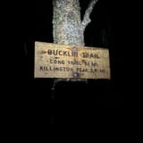 Killington Peak via Bucklin Trail, Vermont - 1,825 Reviews, Map | AllTrails