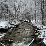 Killington Peak via Bucklin Trail, Vermont - 1,825 Reviews, Map | AllTrails
