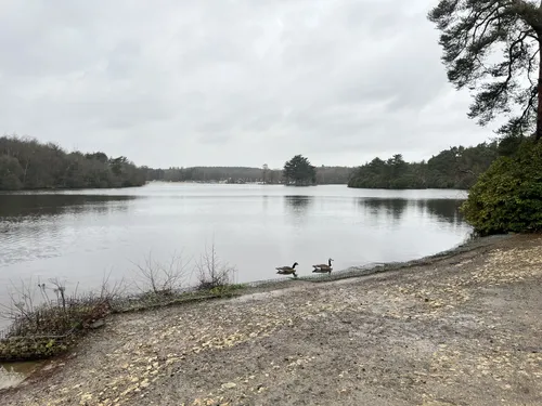 Best Hikes and Trails in Yateley Common Country Park | AllTrails