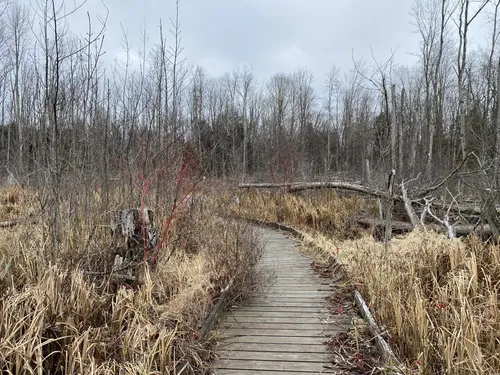 Best Hikes and Trails in Wye Marsh National Wildlife Area | AllTrails