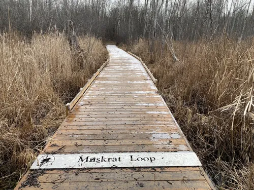 Best Hikes and Trails in Wye Marsh National Wildlife Area | AllTrails